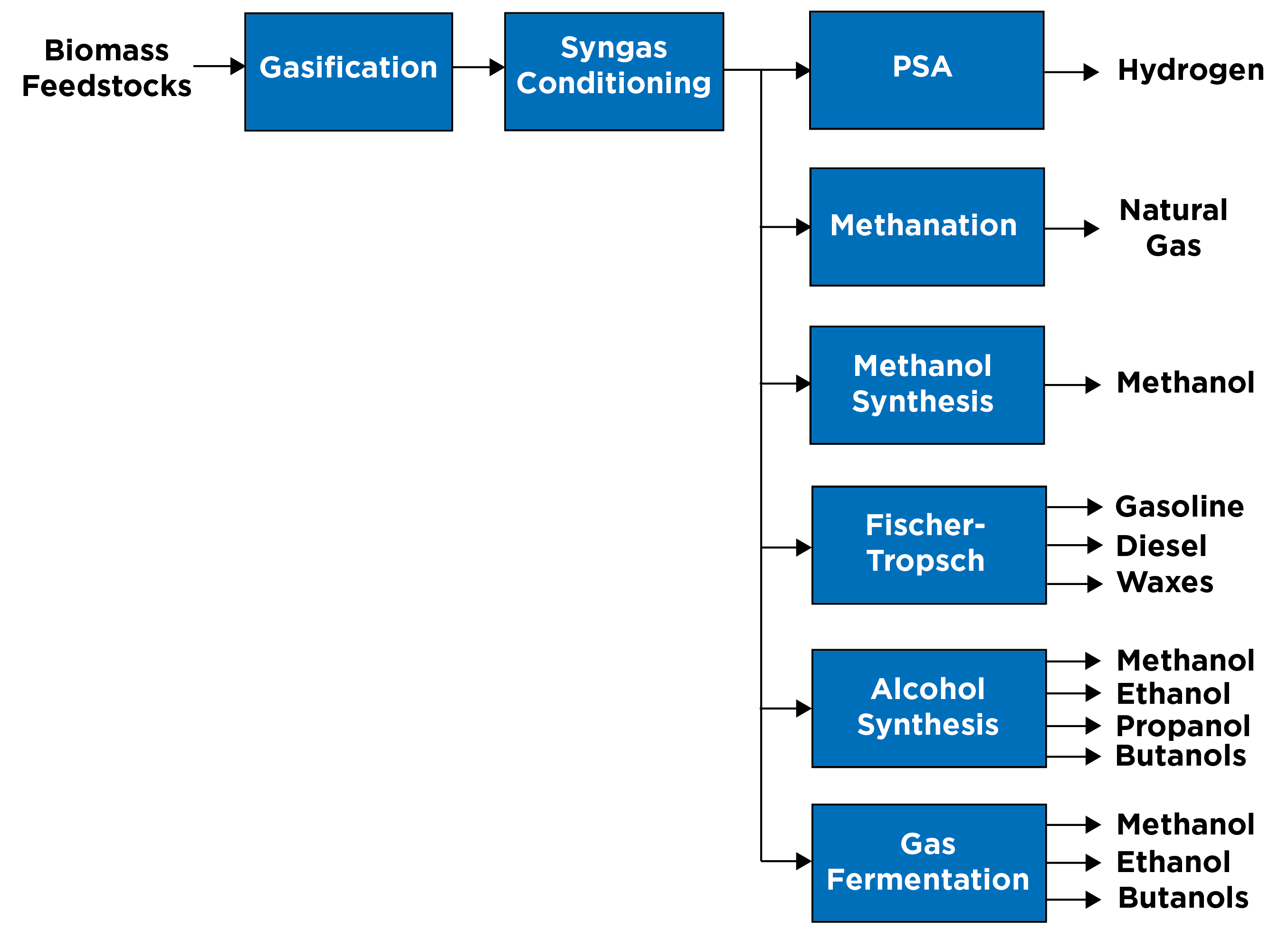 Exploring Gasification: An Emerging Pathway for Renewables