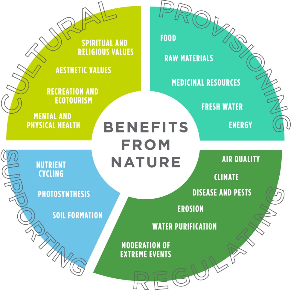 Promoting Natural Capital in Construction Helps Biodiversity and the ...