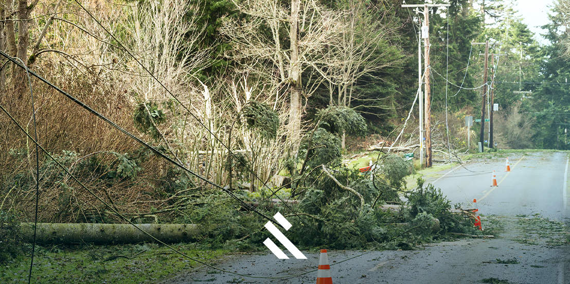 Smart Grid Technology Enhances Storm Hardening Efforts at Utilities