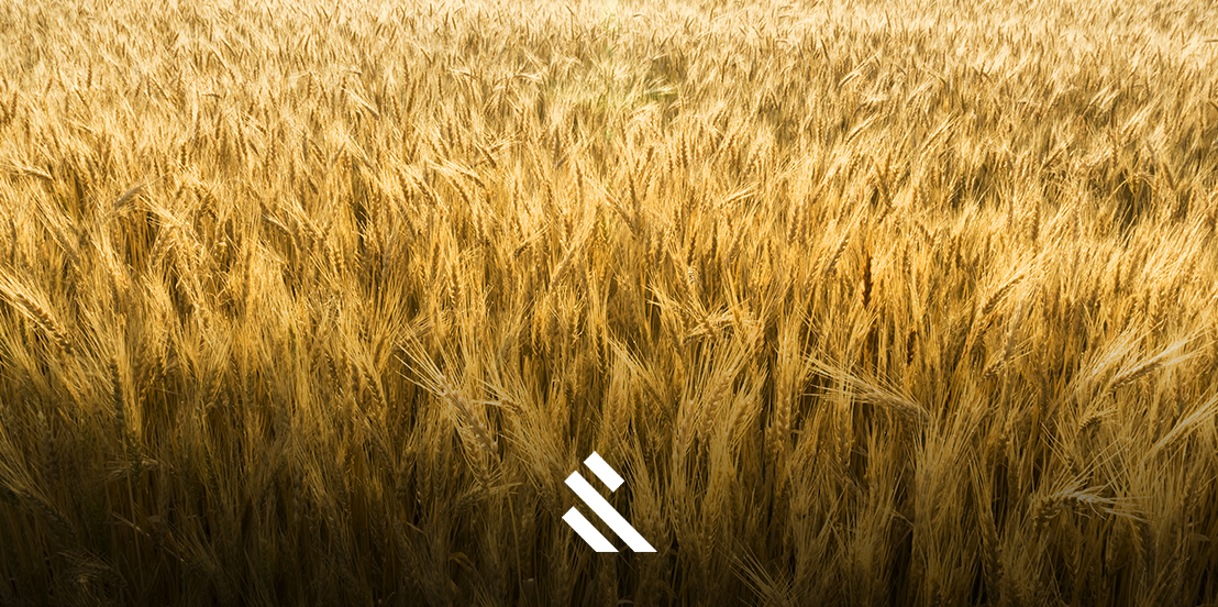 Renewable Diesel Feedstocks: Pretreatment and Purification